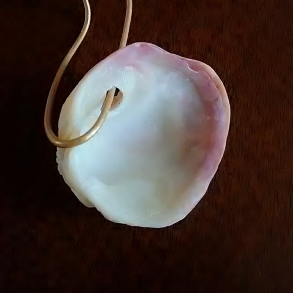 Jewelry | Shell Necklace | Poshmark